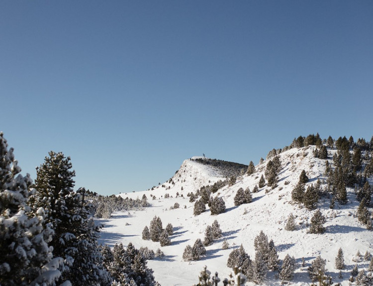 Port del Comte, Estat de les pistes, webcams, previsió del temps ...