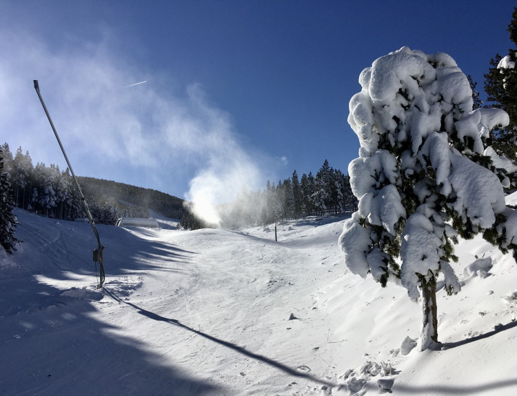 Port del Comte, Estat de les pistes, webcams, previsió del temps ...